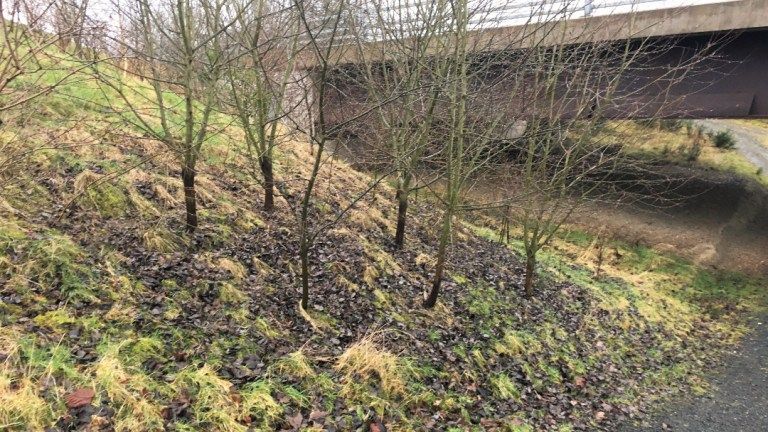 Images for Rootlok system for vegetated retaining wall on footway