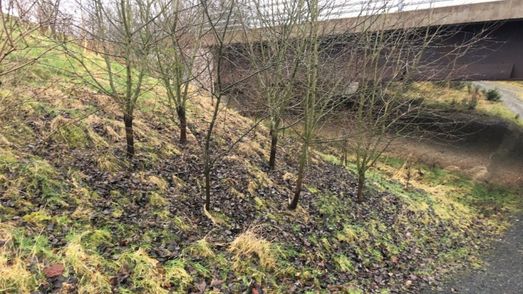 Rootlok system for vegetated retaining wall on footway | GeoGrow | ESI ...