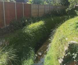 Rootlok vegetated wall system | GeoGrow | ESI External Works