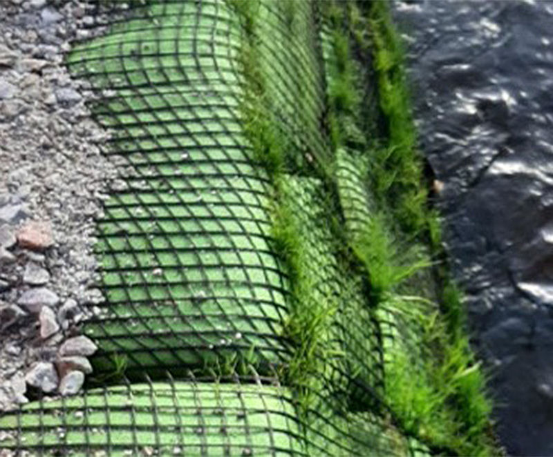Vegetated wall for riverbank flood protection works | Images