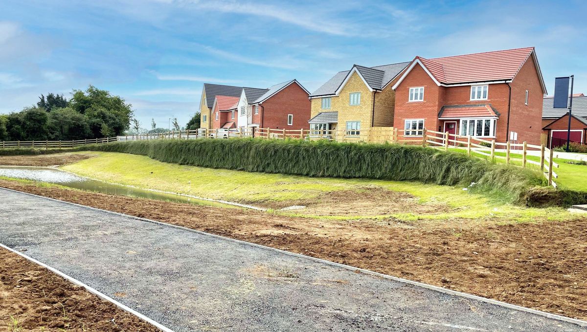 Images for Rootlok vegetated wall system