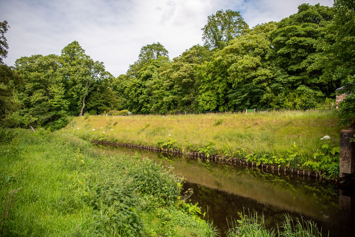 Images for Vegetated wall system reinforces bank at Glasgow park