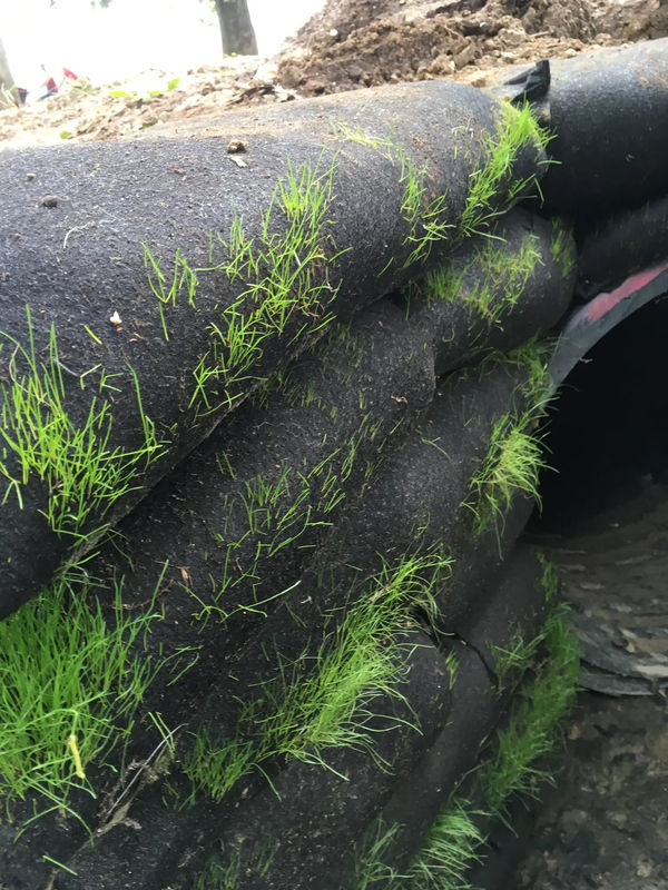 Rootlok Vegetated Headwalls | Images