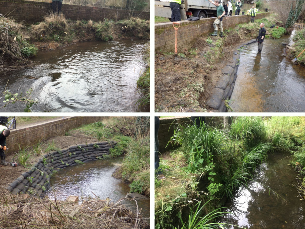 Images for Flex MSE® vegetated wall system