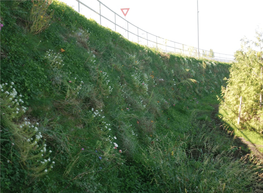 Images for Vegetated wall system stabilises highway slope