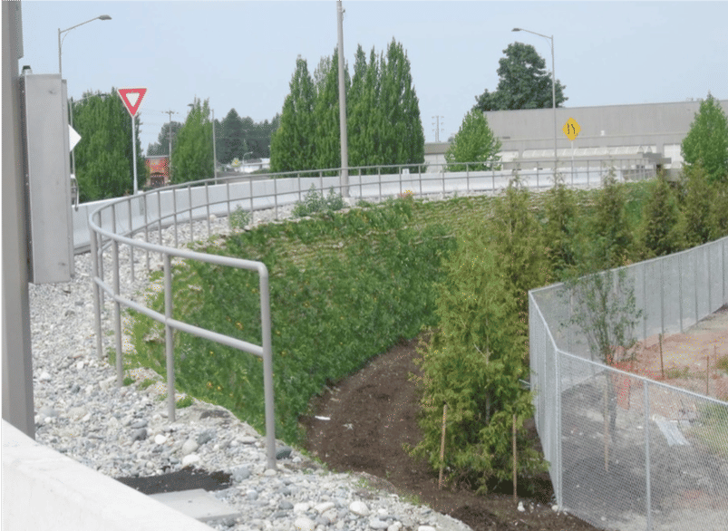 Vegetated wall system stabilises highway slope | Gravitas International ...