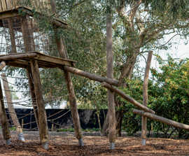 Robinia Climbing Frame No.4 (CF.2.04) | Duncan & Grove | ESI External Works