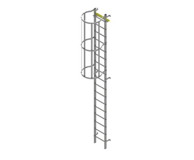 Type BL-WH fixed ladder with safety cage | Bilco UK