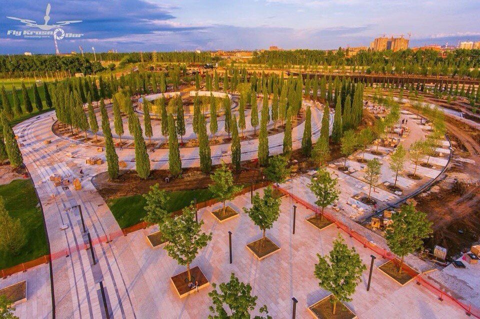 Boxy, geometric trees for Krasnodar Stadium, Russia | Images