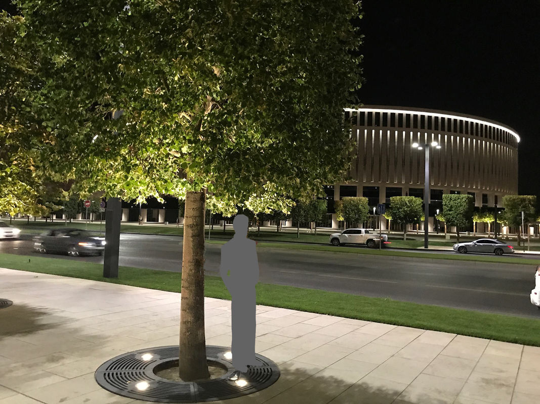 Boxy, geometric trees for Krasnodar Stadium, Russia | Images