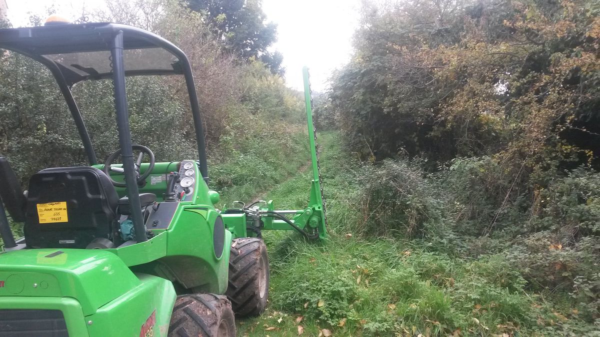 Vegetation management services | Images