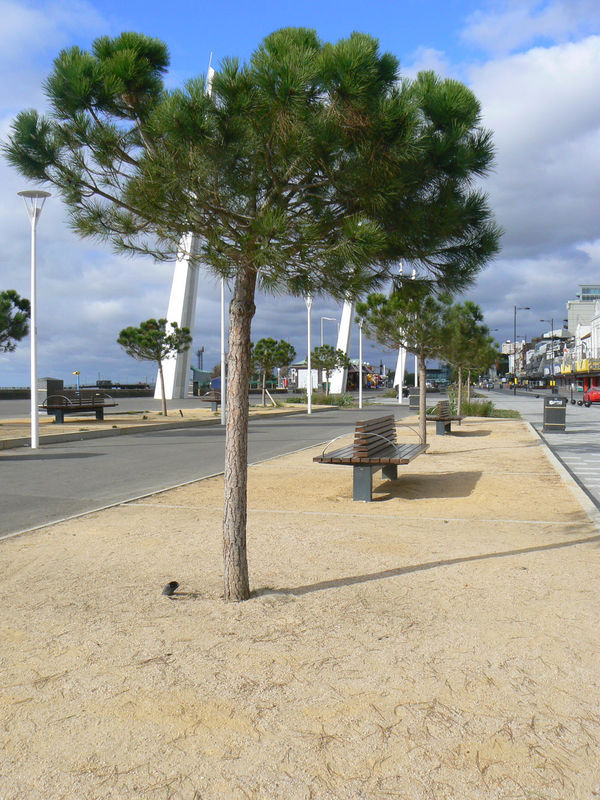 Images for CEDEC® Gold quartzite footpath gravel