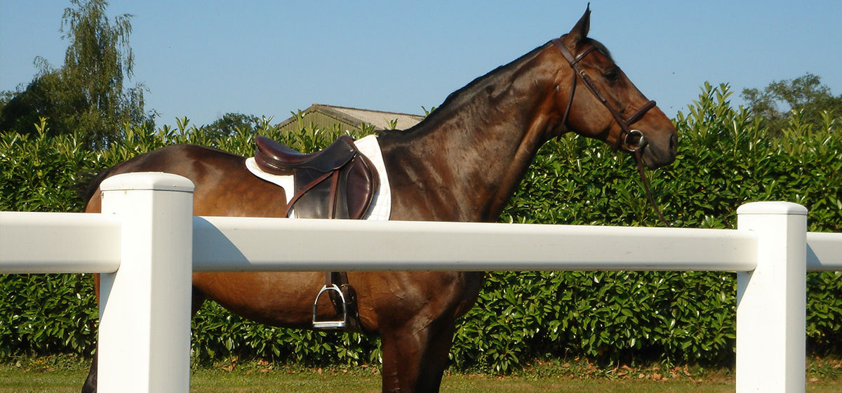 Duralock PVCu equestrian fencing | Images