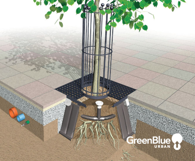 RootDirector - plastic root barrier for tree root control | GreenBlue ...