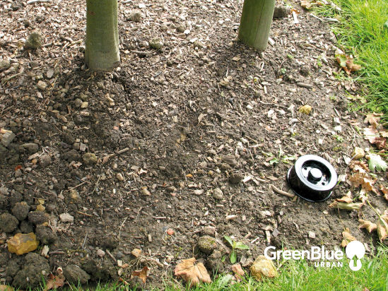 RootRain Civic - tree irrigation system for softscape planting | Images