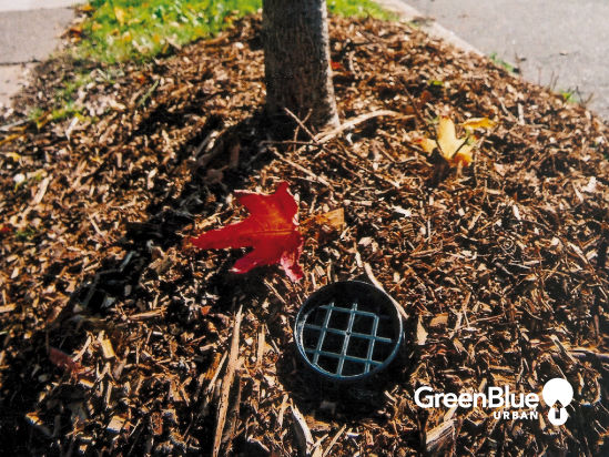 RootRain Urban irrigation and aeration system | Images