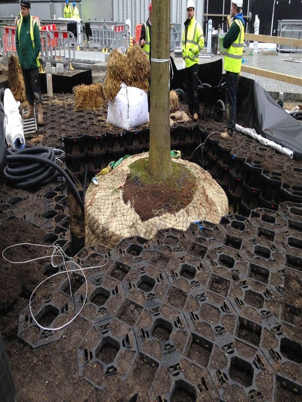 Tree pit system - 5 Broadgate, London | Images