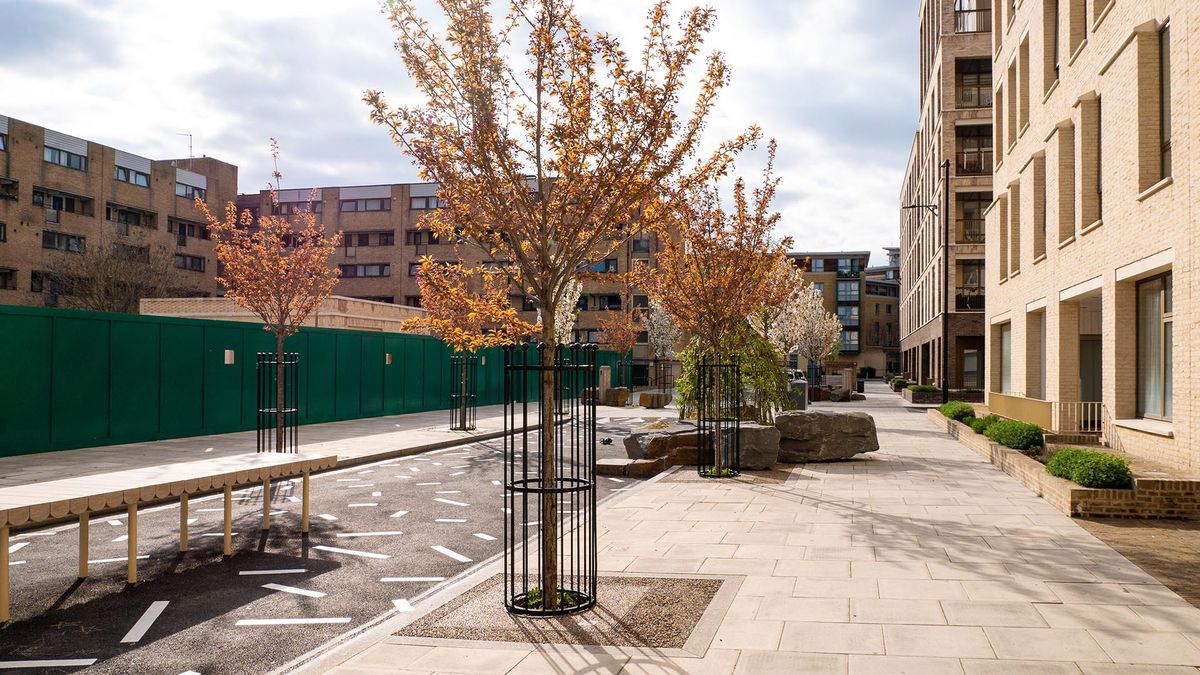 Tree planting products enhance new social housing | Images