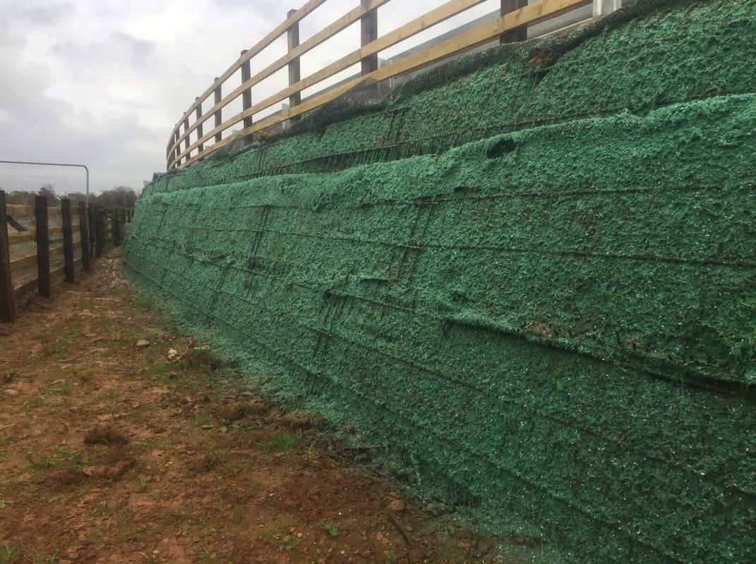 Images for Retaining wall hydroseeded with wildflower seeds