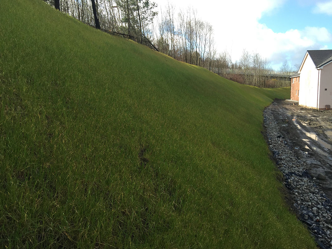 Images for Hydroseeding slopes and embankments