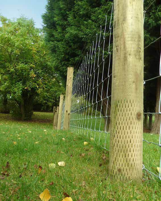 Images for Agricised® timber fencing posts
