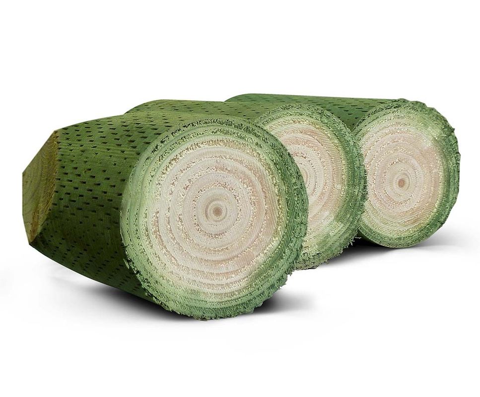Agricised® timber fencing posts and strainers | Images