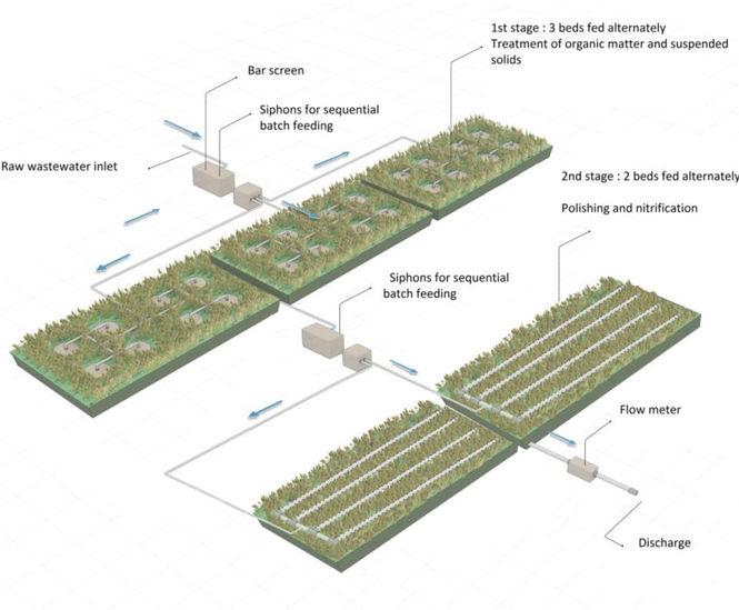 UK first: constructed wetland for full primary treatment | ARM Reedbeds