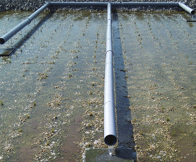 Thames Water invests in FBA™ reed bed | ARM Reedbeds
