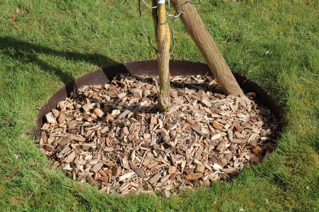 EverEdge® Garden Ring edging | EverEdge | ESI External Works