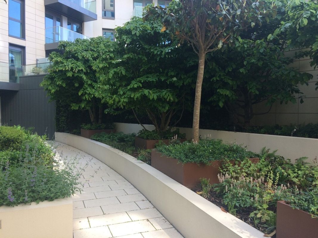 Images for Corten landscape edging - Sovereign Court, Hammersmith
