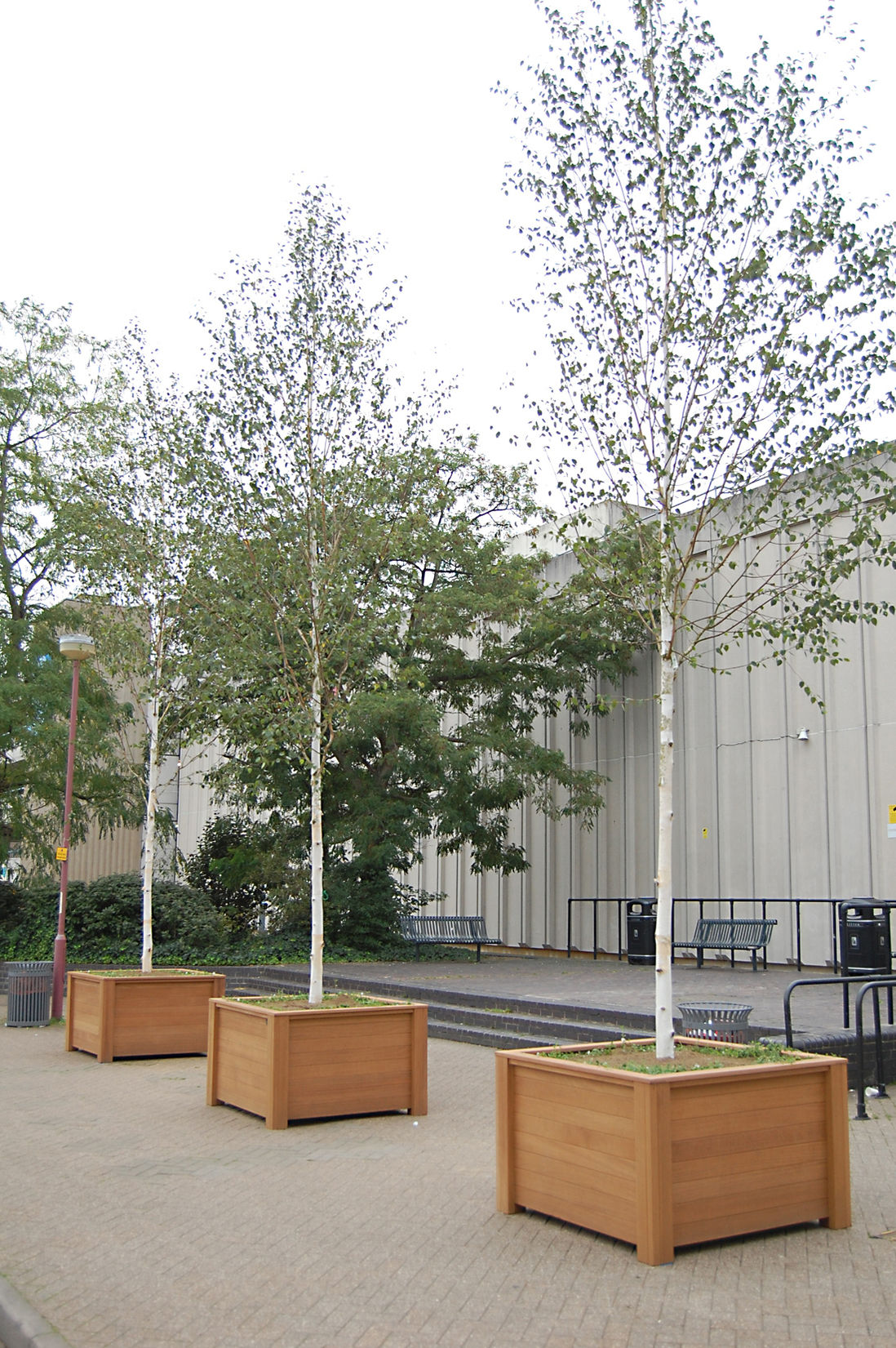 Ultimate iroko tree and shrub planters | Branson Leisure | ESI External ...