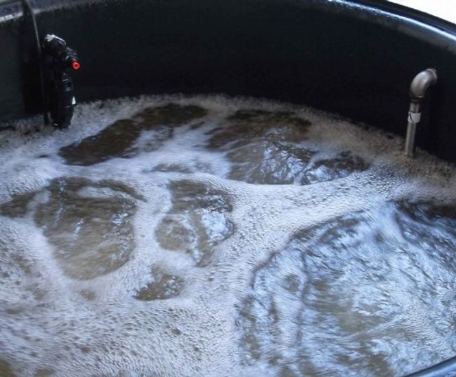 Wastewater treatment plant bio-augmentation | Corgin