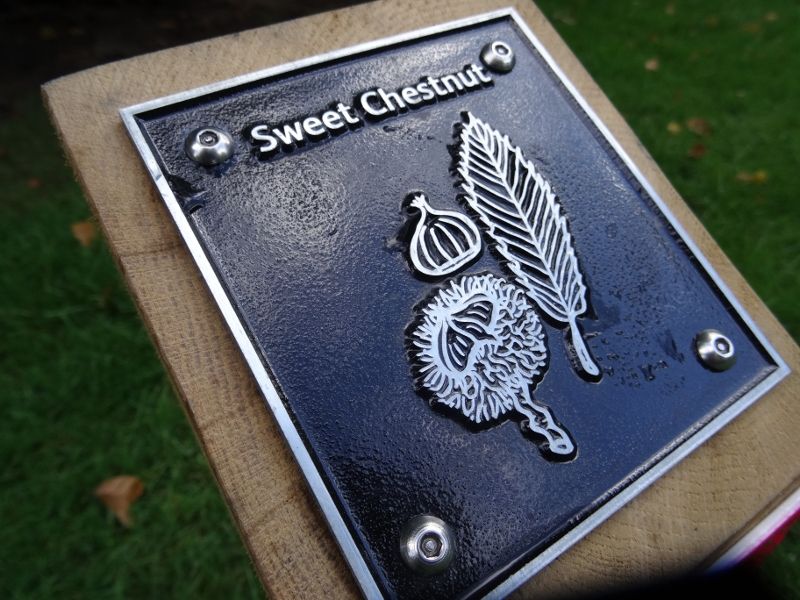 Interpretation and activity trail signage - Tilgate Park | Images