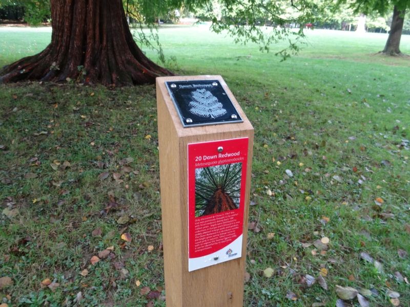 Interpretation and activity trail signage - Tilgate Park | Images