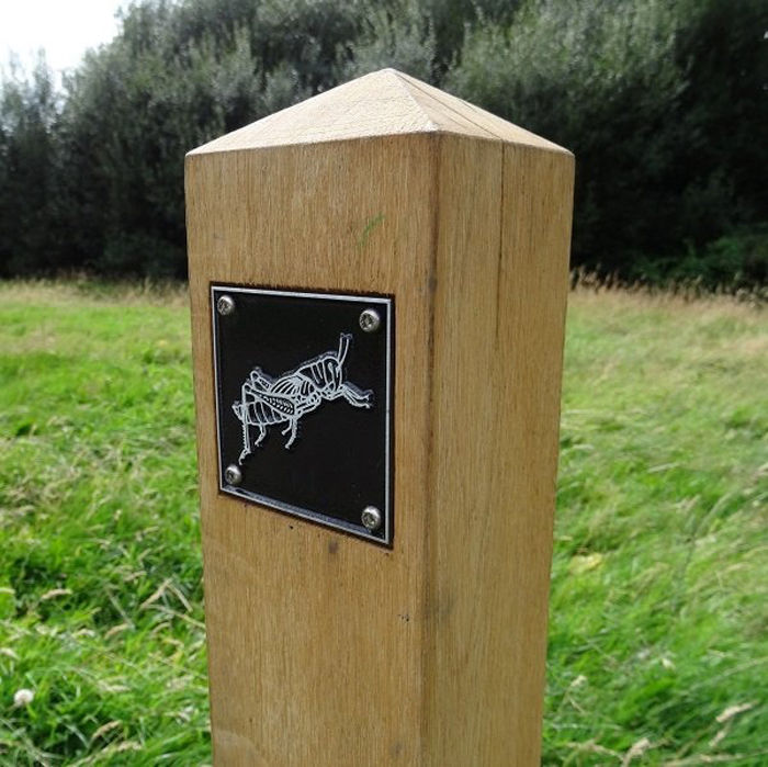 Waymarker posts for activity trails | Images