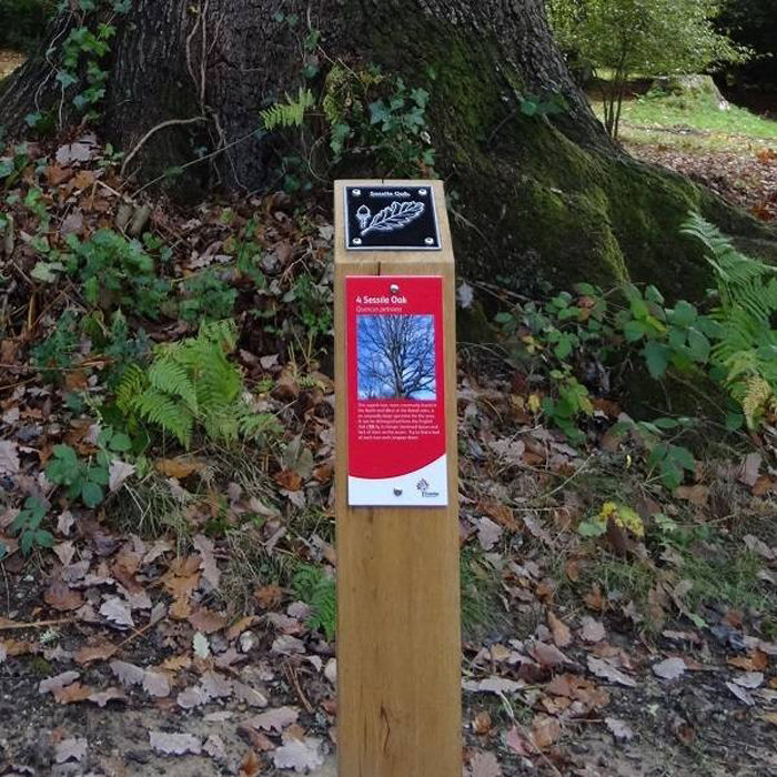 Waymarker posts for activity trails | Images