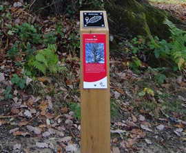 Waymarker posts for activity trails | Fitzpatrick Woolmer | ESI ...