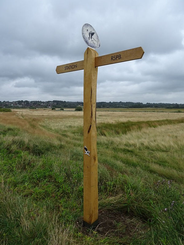 Interpretation and wayfinding signage for wild art trail | Images