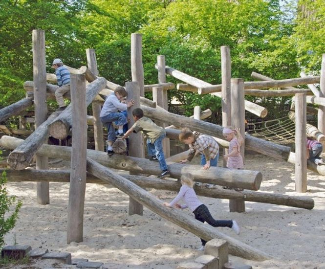 Climbing Structure 07 play equipment | Timberplay