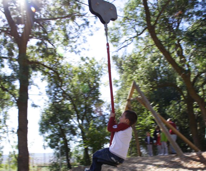 Large gated cable way up to 30m | Timberplay