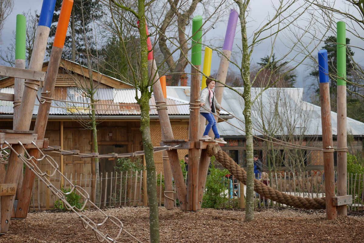 Play equipment for Chester Zoo's Island area | Images