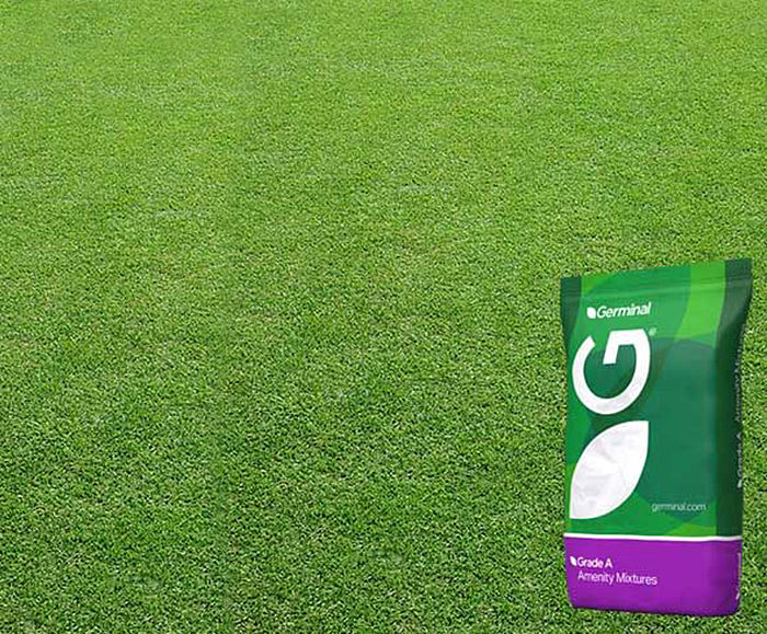 Images for A19 grade 'A' landscaping mixture with Zurich cultivar