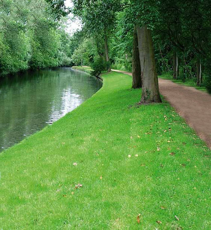 Images for A3 grade 'A' embankments and drought grass seed mixture