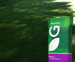 Golf course grass seed mixtures | EXTERNAL WORKS
