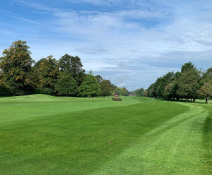 Golf course grass seed mixtures | EXTERNAL WORKS