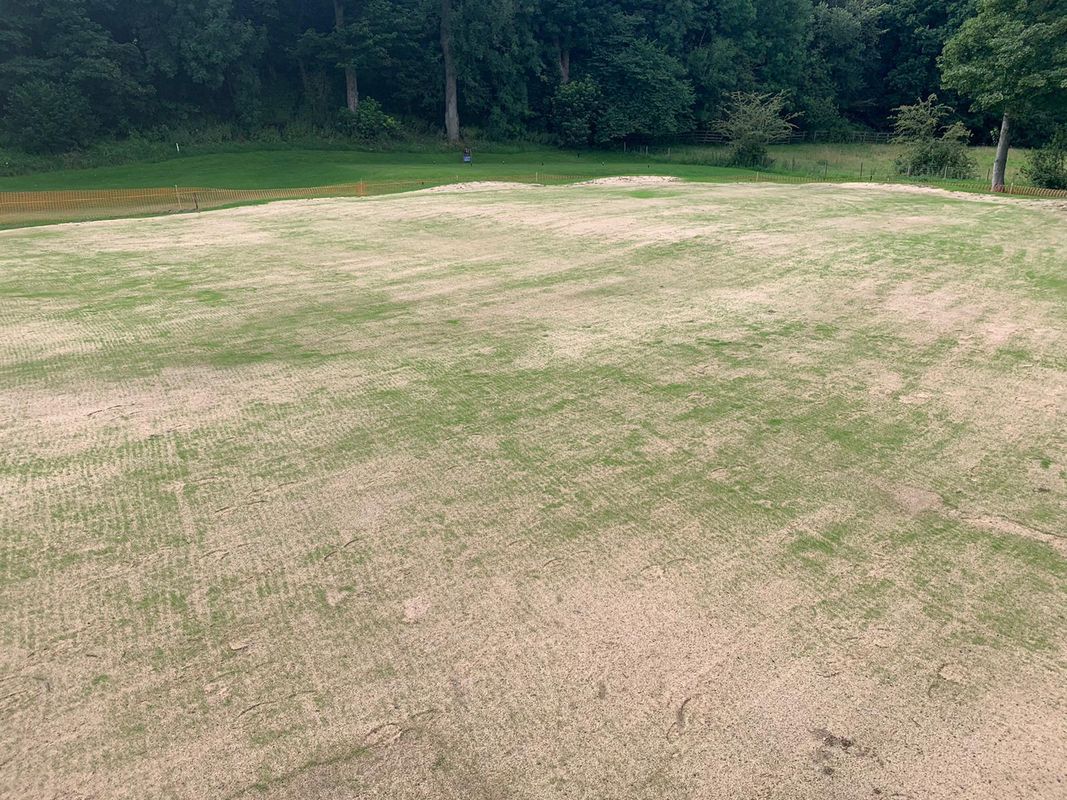 Battling thatch with 007 creeping bentgrass at Otley GC | Images