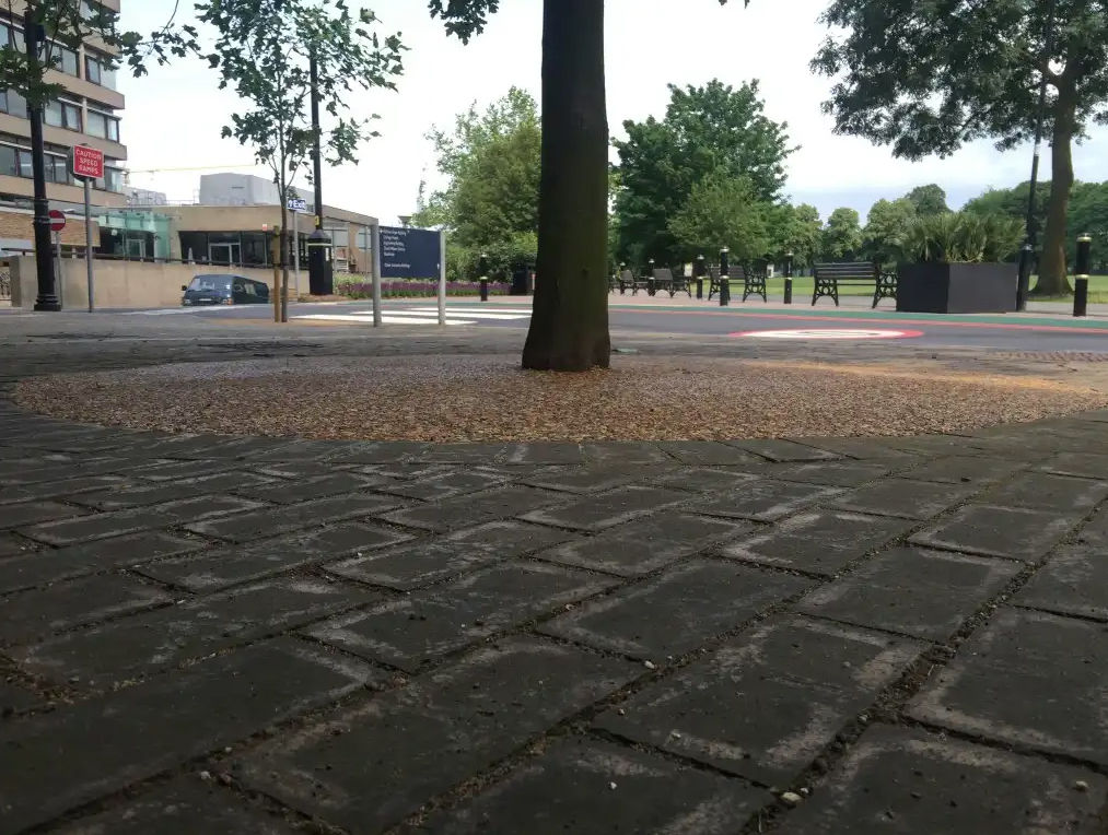 Resin Bound Tree Pit Surfacing | Images