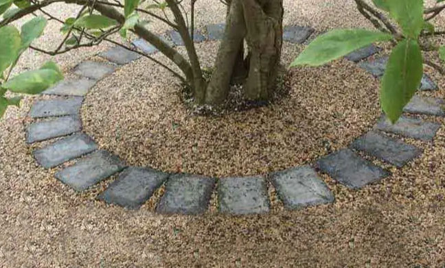 Resin Bound Tree Pit Surfacing | Images