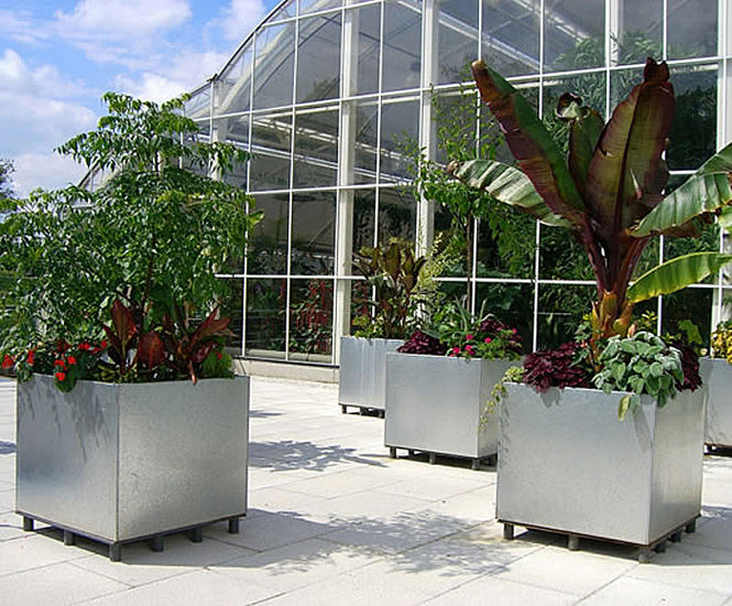 Galvanised cube planters | Cedar Nursery Plants & Outdoor Living