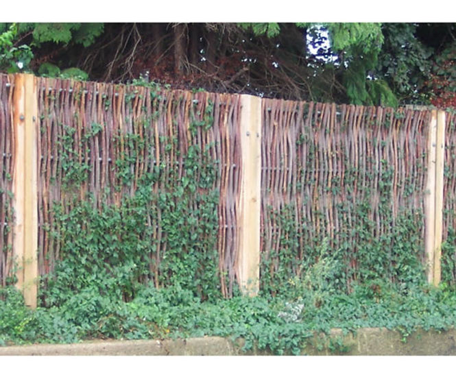 Green Barrier™, John Radcliffe Hospital, Oxford | Cheviot Trees